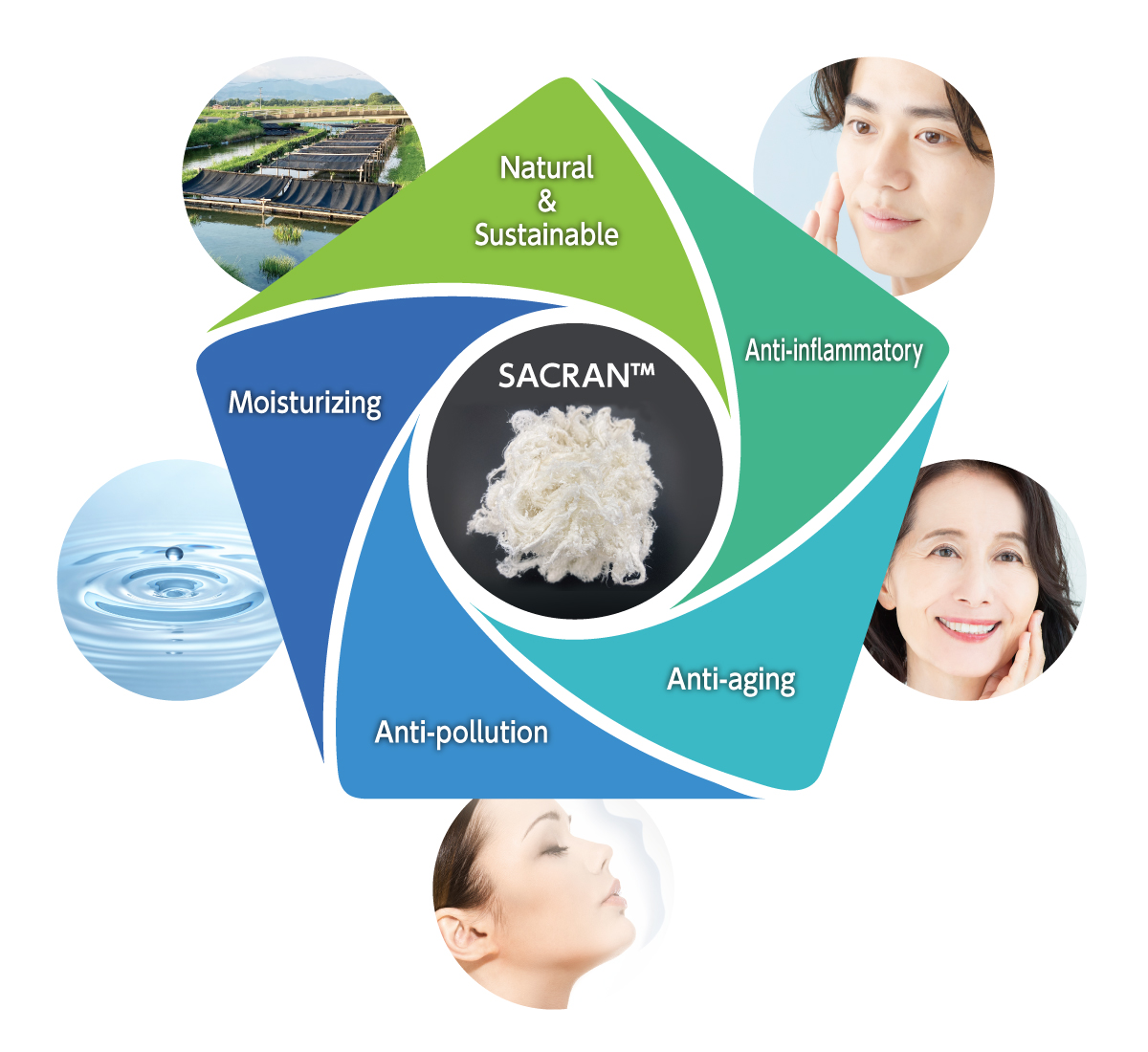 SACRAN™ | DIC Booth Information at Sustainable Material Expo Tokyo ...