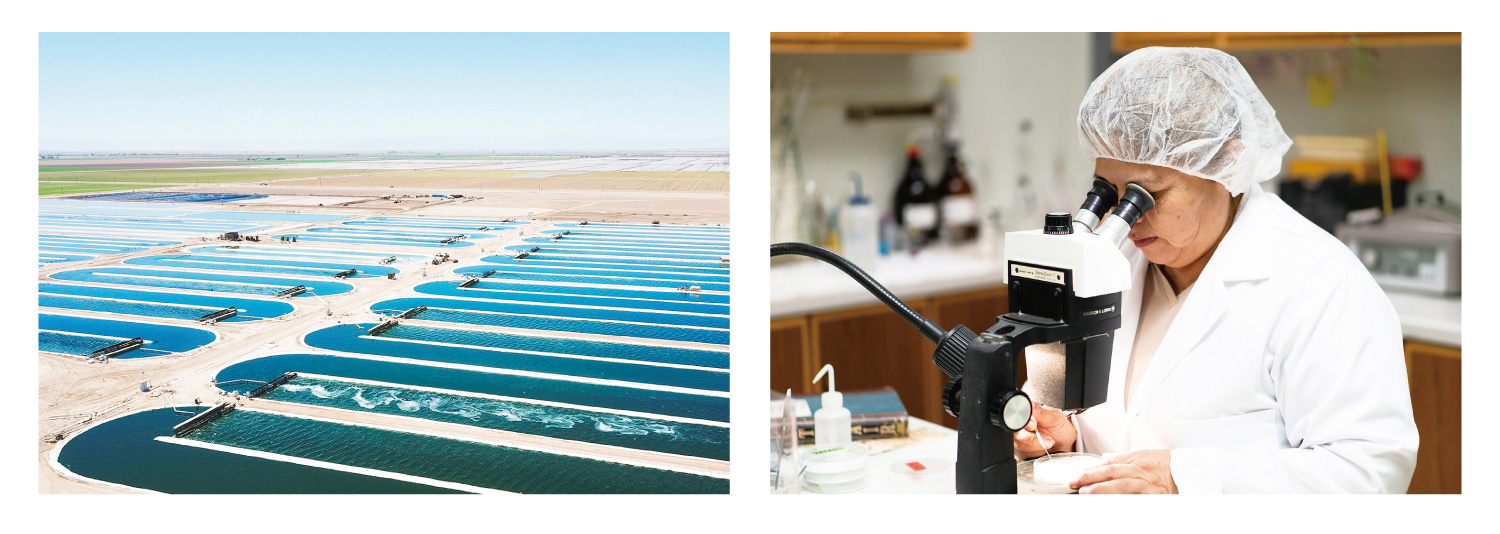 SACRAN™ | DIC Booth Information at Sustainable Material Expo Tokyo ...